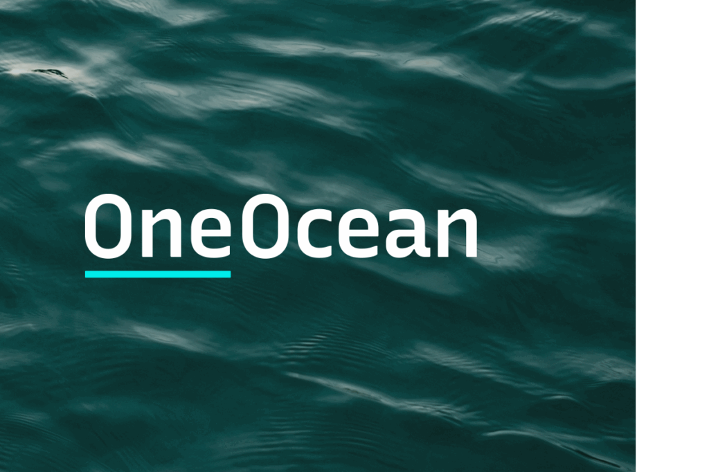 OneOcean | Insights